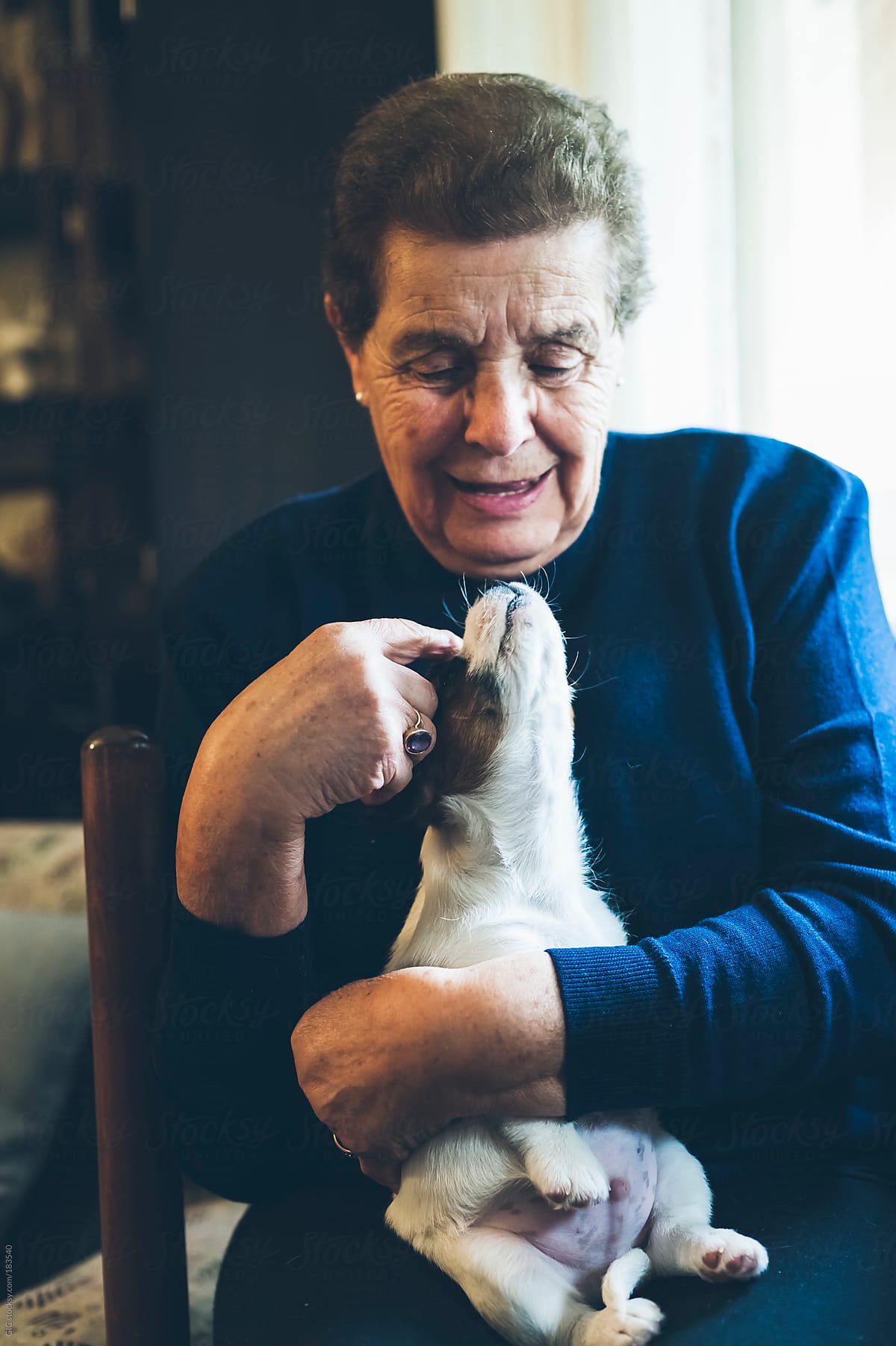 Senior Woman And Puppy By Stocksy Contributor Simone Wave Stocksy Senior Woman And Puppy By Stocksy Contributor Simone Wave Stocksy