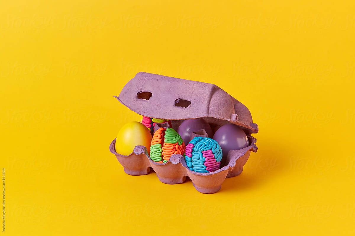 "Colored Brains And Eggs In Egg Carton" by Stocksy Contributor ...