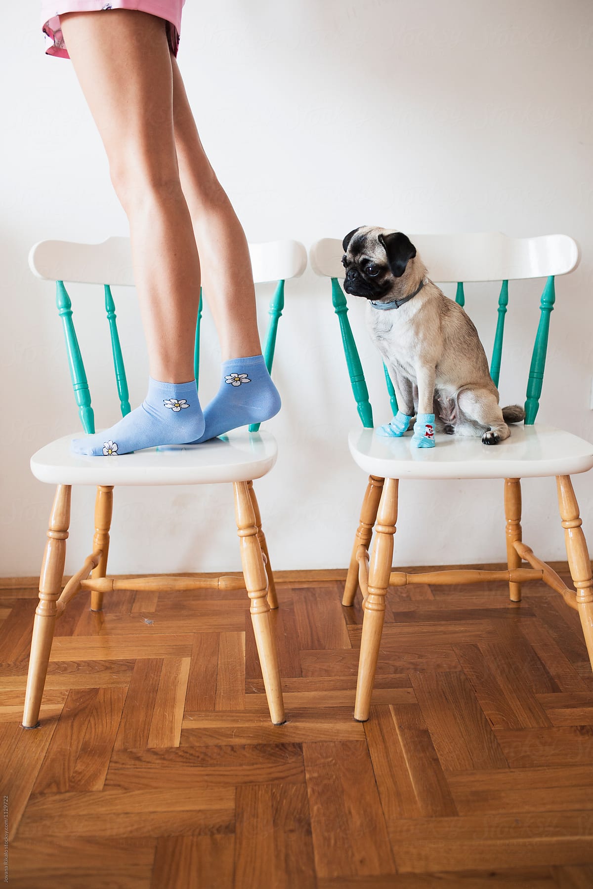 "Young Woman And Her Pug Dog Pet" by Stocksy Contributor "Jovana Rikalo ...