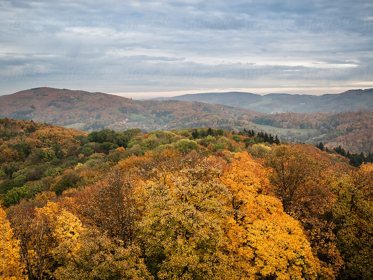 "Fall Forest Hills" by Stocksy Contributor "Andreas Wonisch" - Stocksy