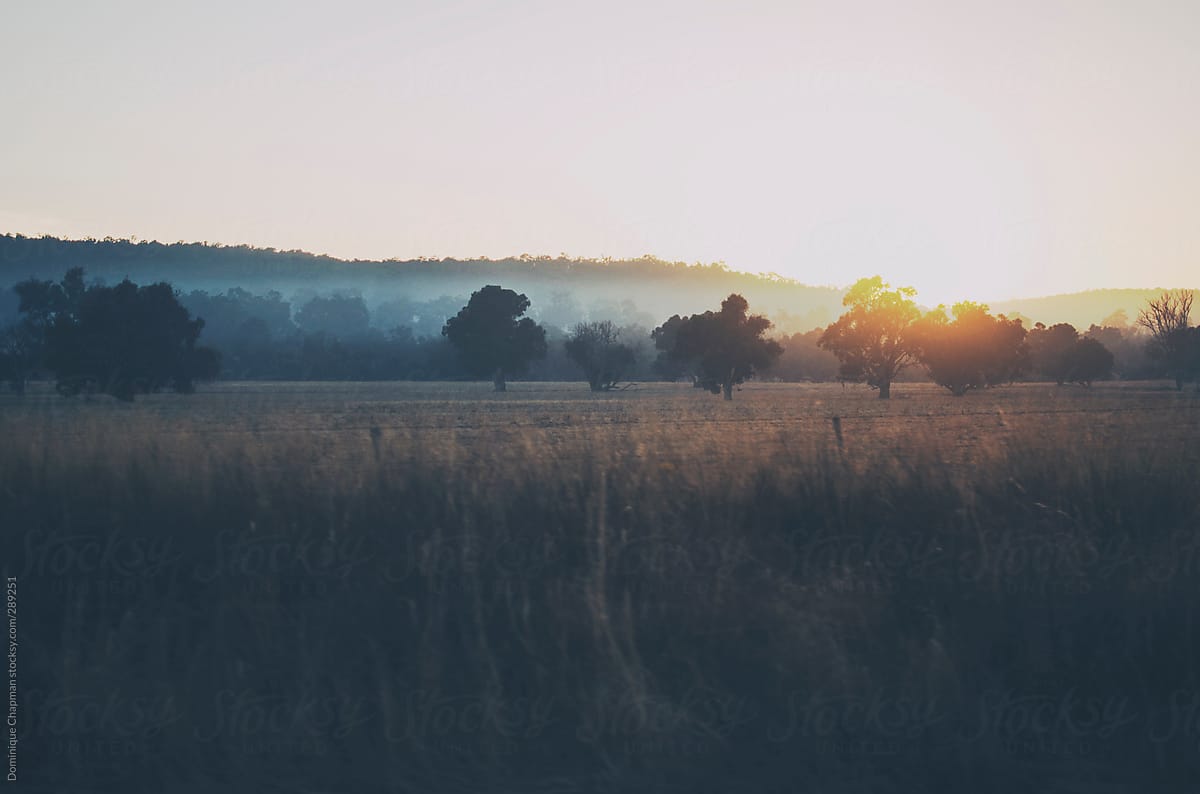 "Sunrise Over Field" by Stocksy Contributor "Dominique Felicity" - Stocksy