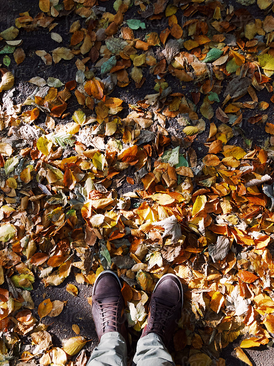 "Feet In Autumn Leaves" by Stocksy Contributor "HIGHLANDER" - Stocksy