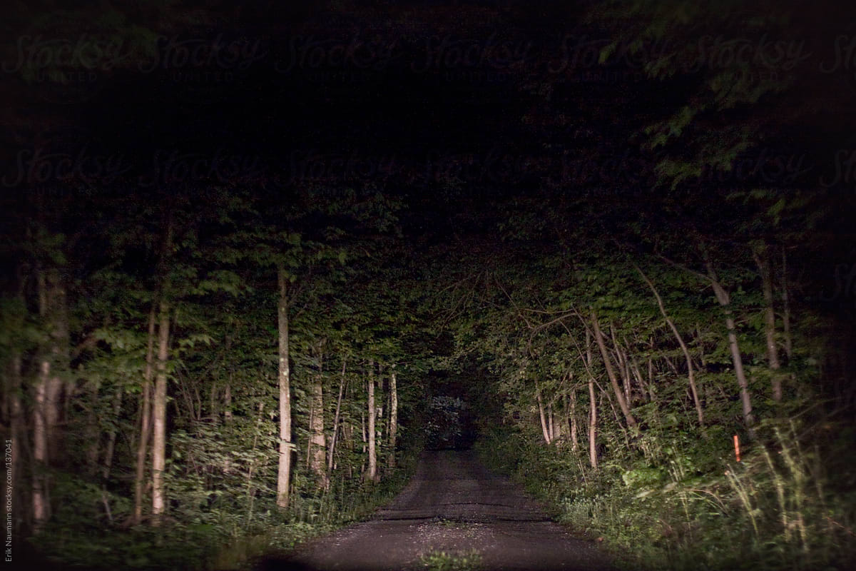 "Car Headlights Illuminate A Forest Road" by Stocksy Contributor "Erik ...