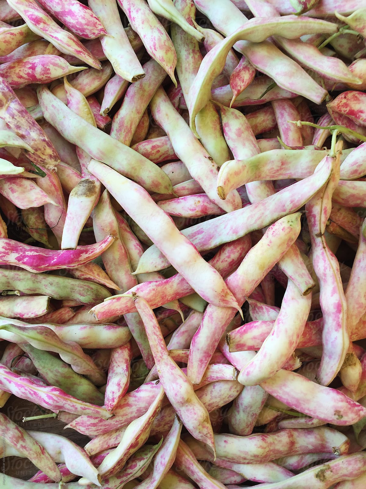 "Variegated Beans" by Stocksy Contributor "Marta Locklear" - Stocksy