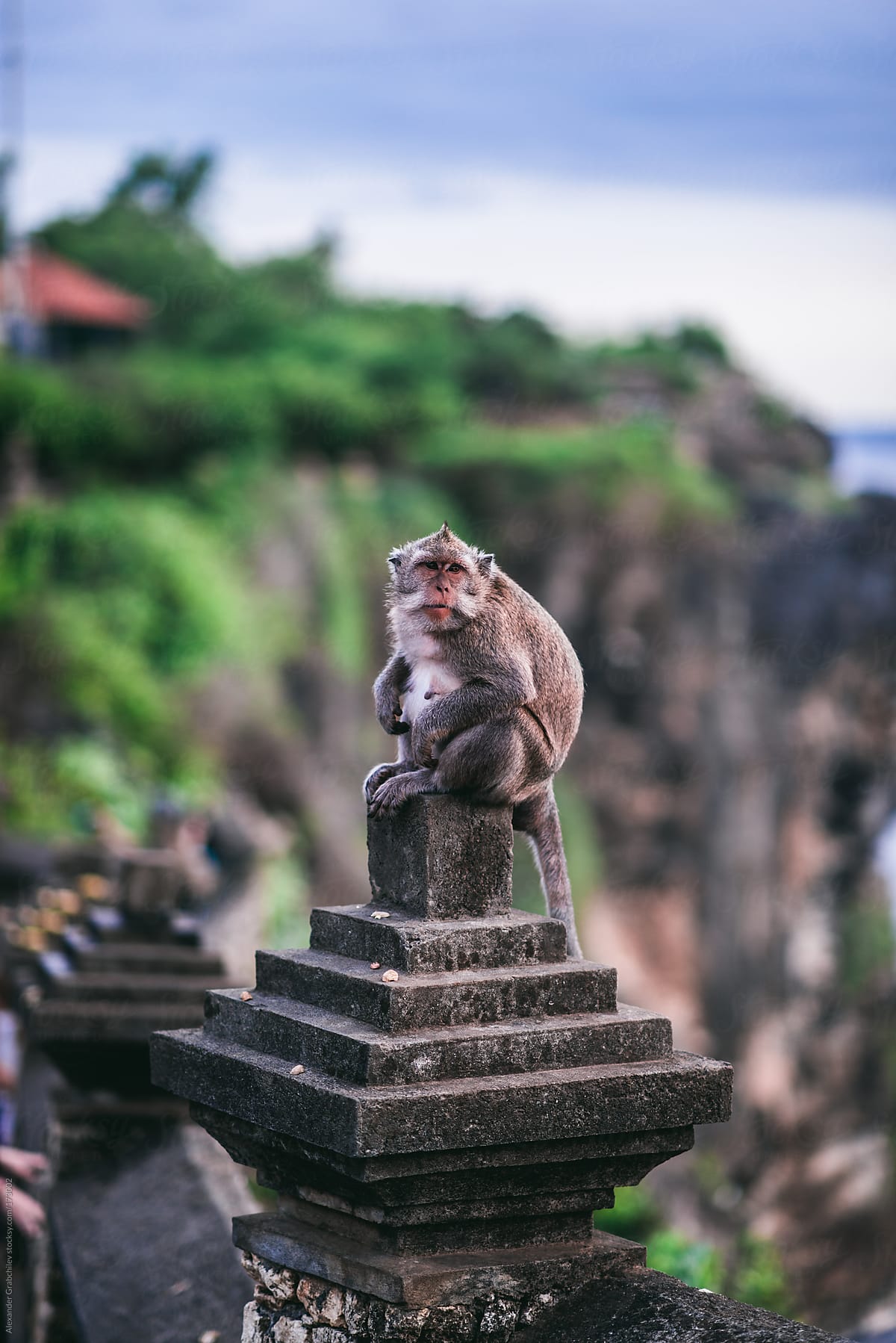 "Monkey In The Temple" by Stocksy Contributor "Eugenia Bakanova" - Stocksy