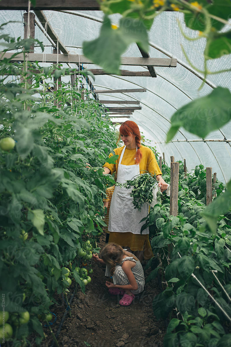"Life Is Better On The Farm" by Stocksy Contributor "Studio Firma ...