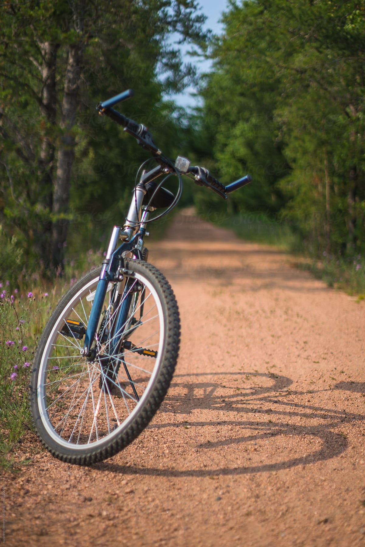 "Mountain Bike Parked On A Northern Wooded Trail" by Stocksy ...