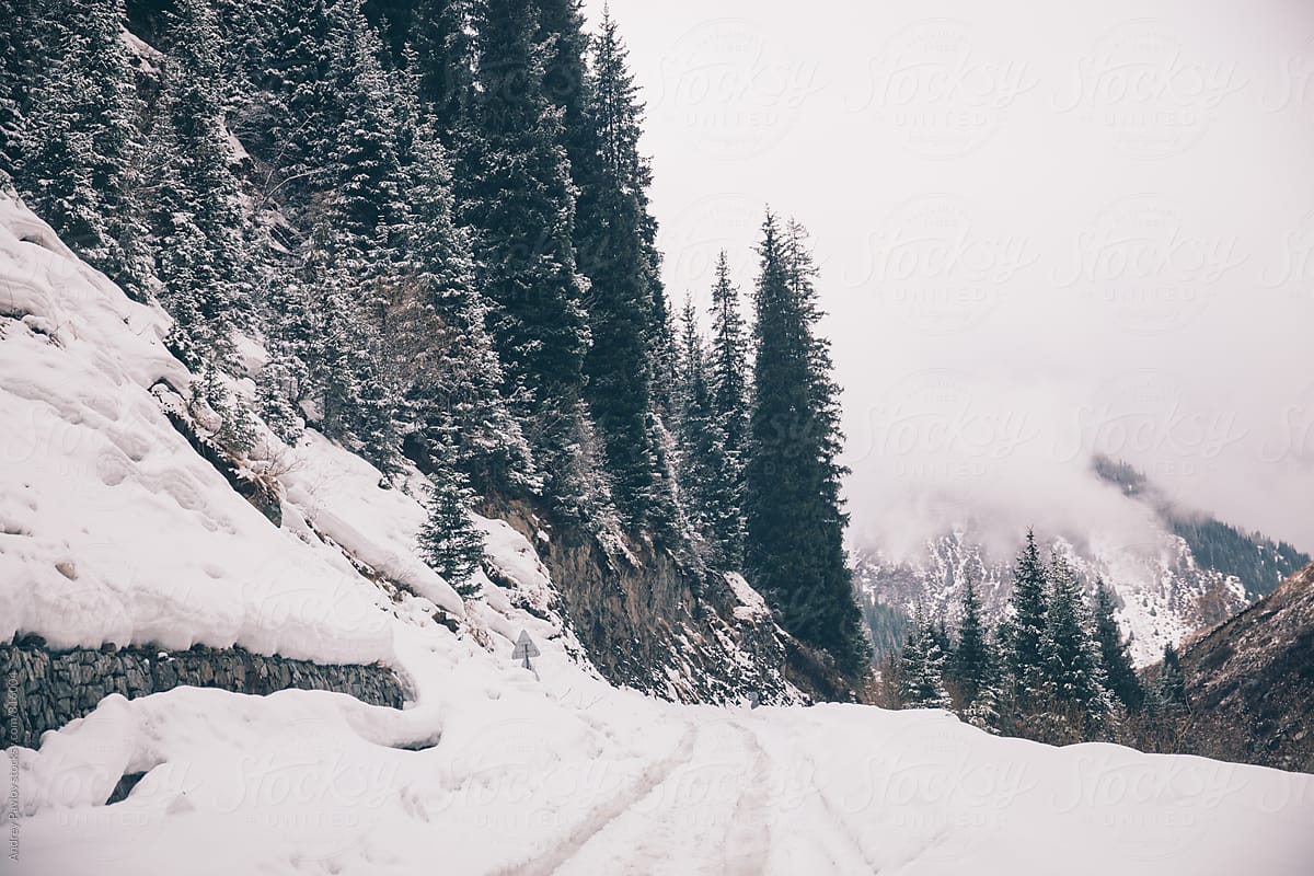 "Beautiful Photo Of Snowy Road" by Stocksy Contributor "Andrey Pavlov ...