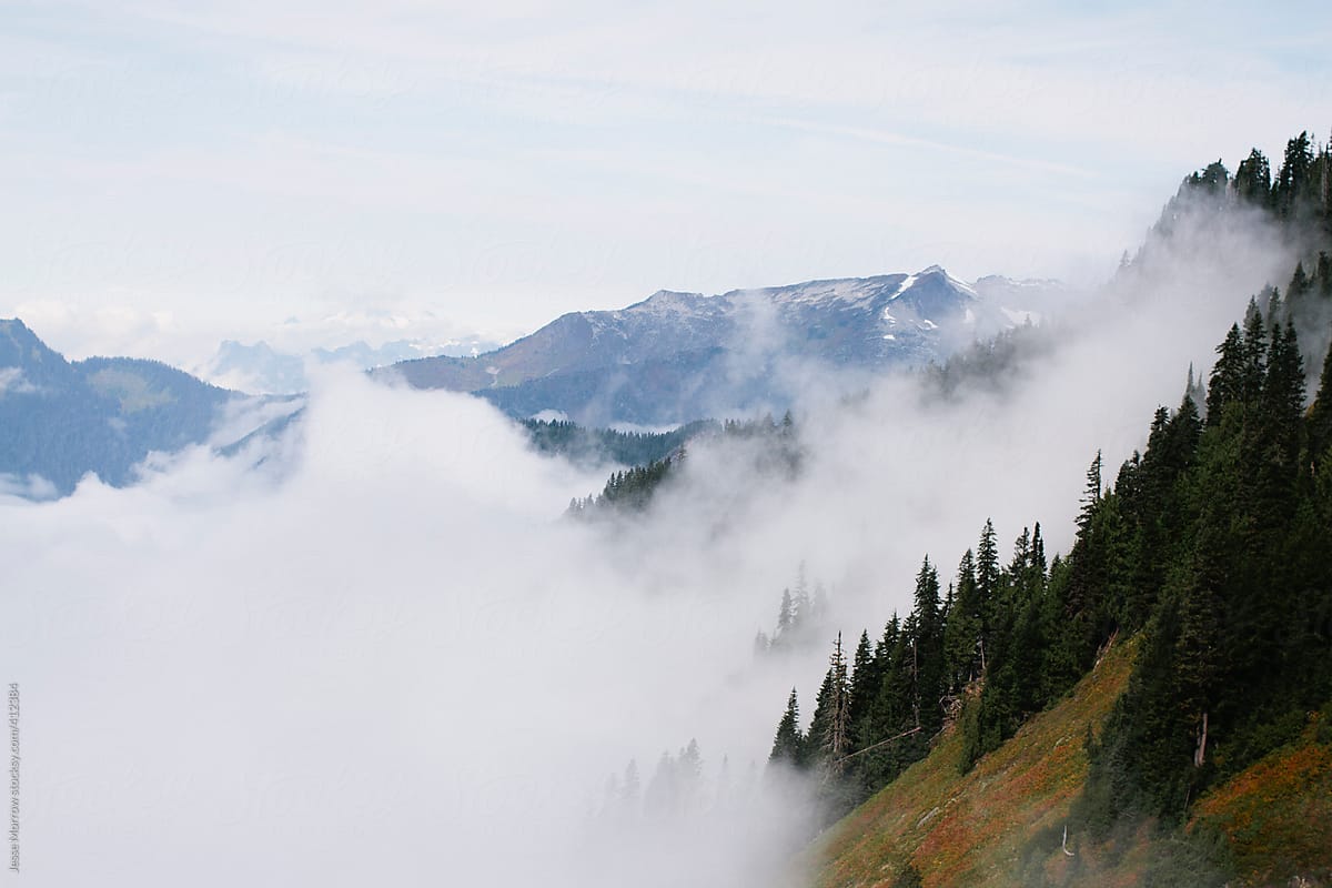"Fog Rolls Through Washington Mountain" by Stocksy Contributor "Jesse ...