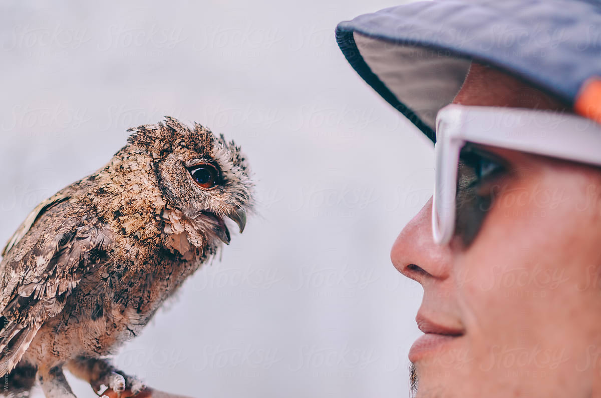 "Dude's Listening To A Small, Talkative Owl" by Stocksy Contributor ...