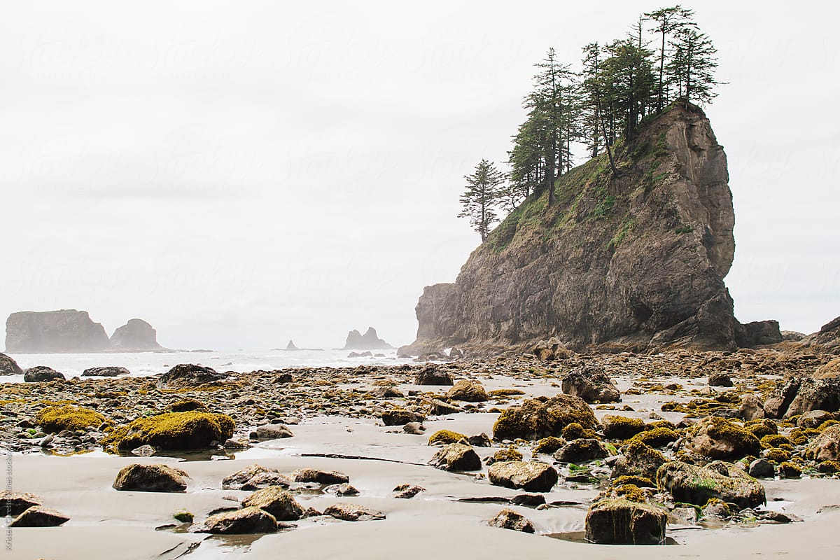 "Beach 2 La Push, Washington" by Stocksy Contributor "Kristen Curette ...