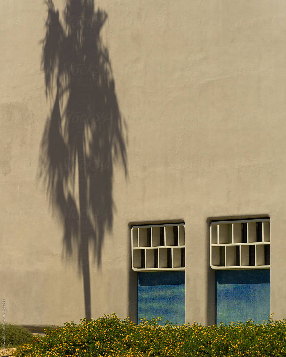 "Building With Palm Tree Shadow" by Stocksy Contributor "Andrew James ...