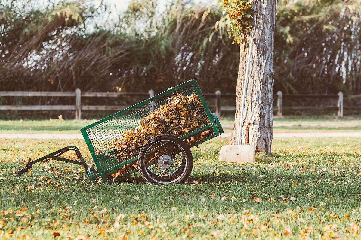 "Cart With Dry Leaves" by Stocksy Contributor "Pardina Studio x Katya D ...