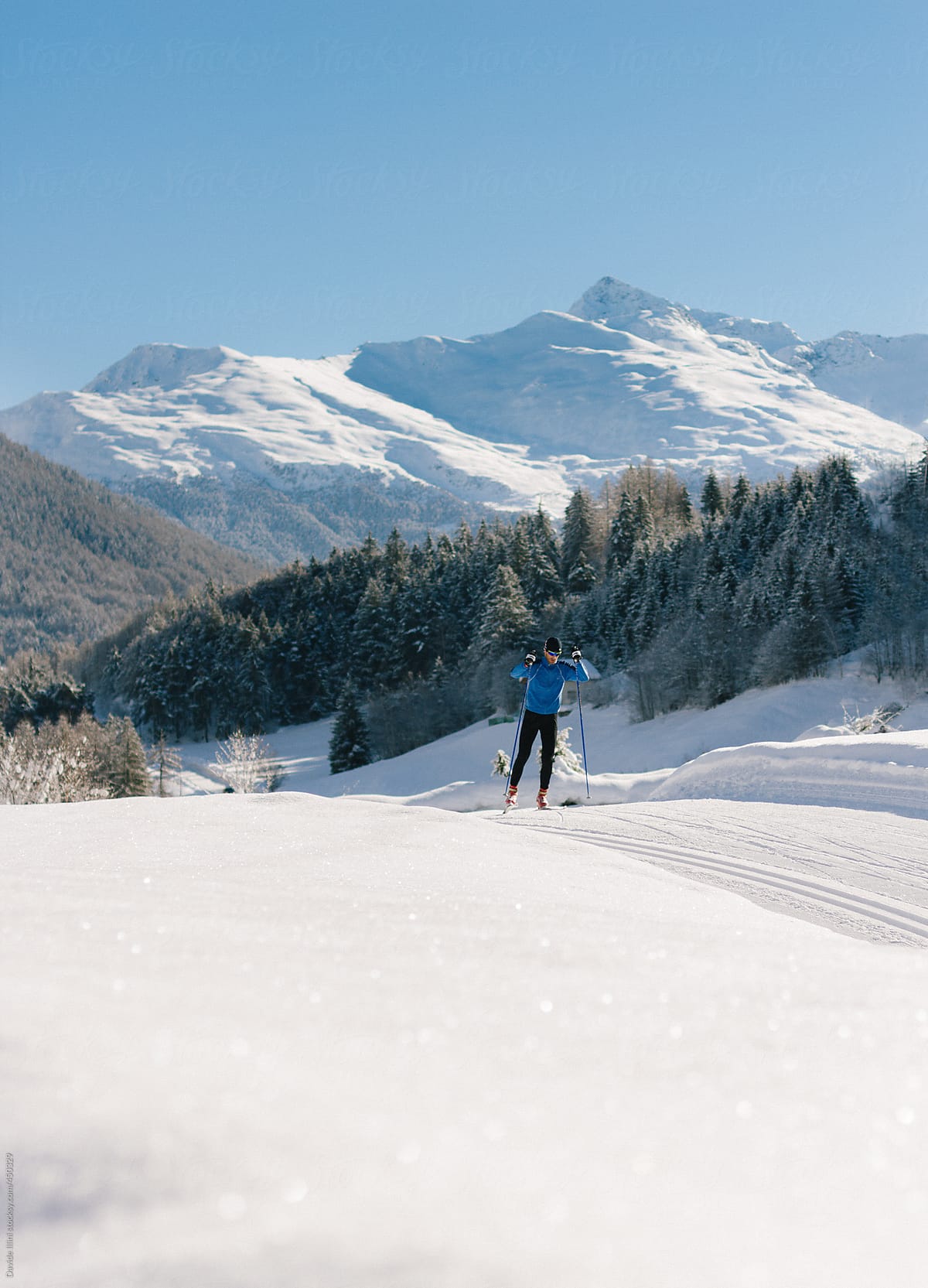"Athlete Practice Cross-country Skiing" by Stocksy Contributor "Davide ...
