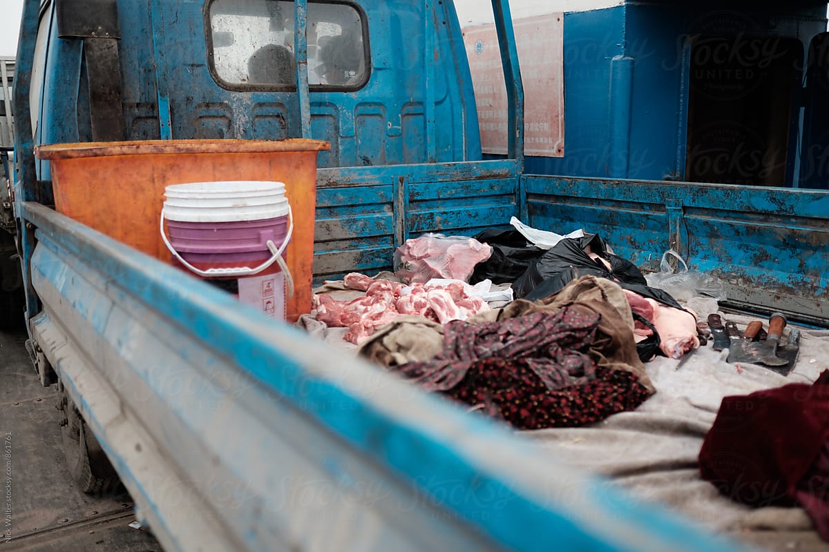 "Raw Meat In Truck Bed" by Stocksy Contributor "Nicklaus Walter" - Stocksy