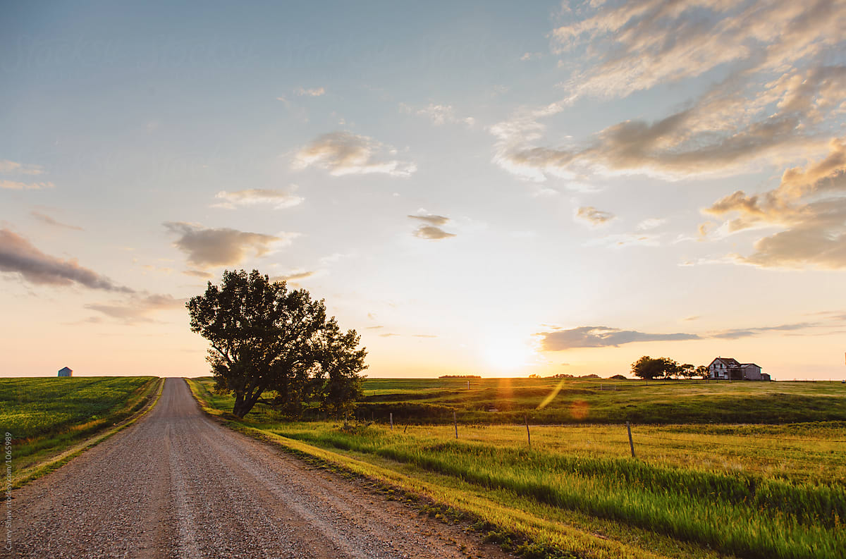 "Gravel Road Through Prairie Landscape At Dusk" by Stocksy Contributor ...