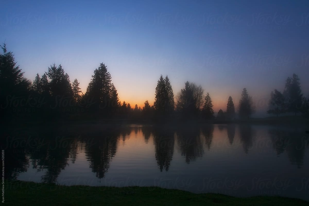 "Morning, Fog, Trees" by Stocksy Contributor "Ryan Matthew Smith" - Stocksy