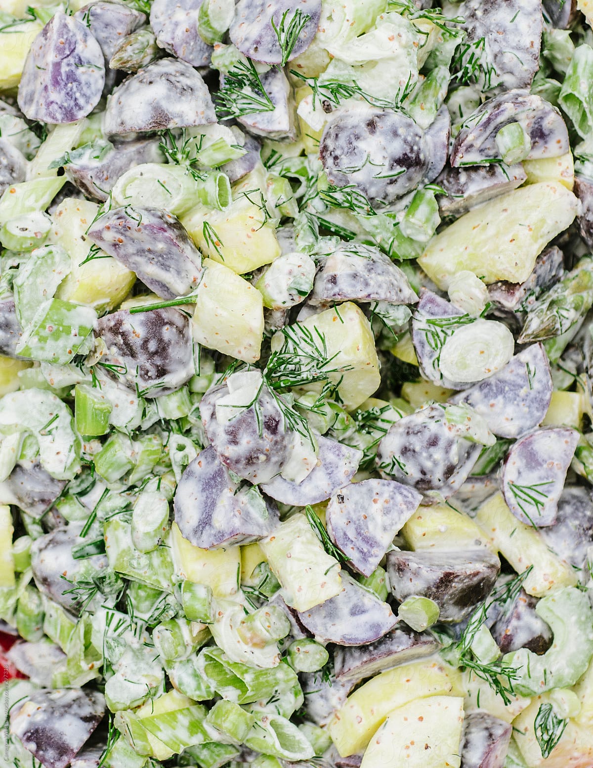 "Summer Squash And Purple Potato Salad" by Stocksy Contributor "CWP ...