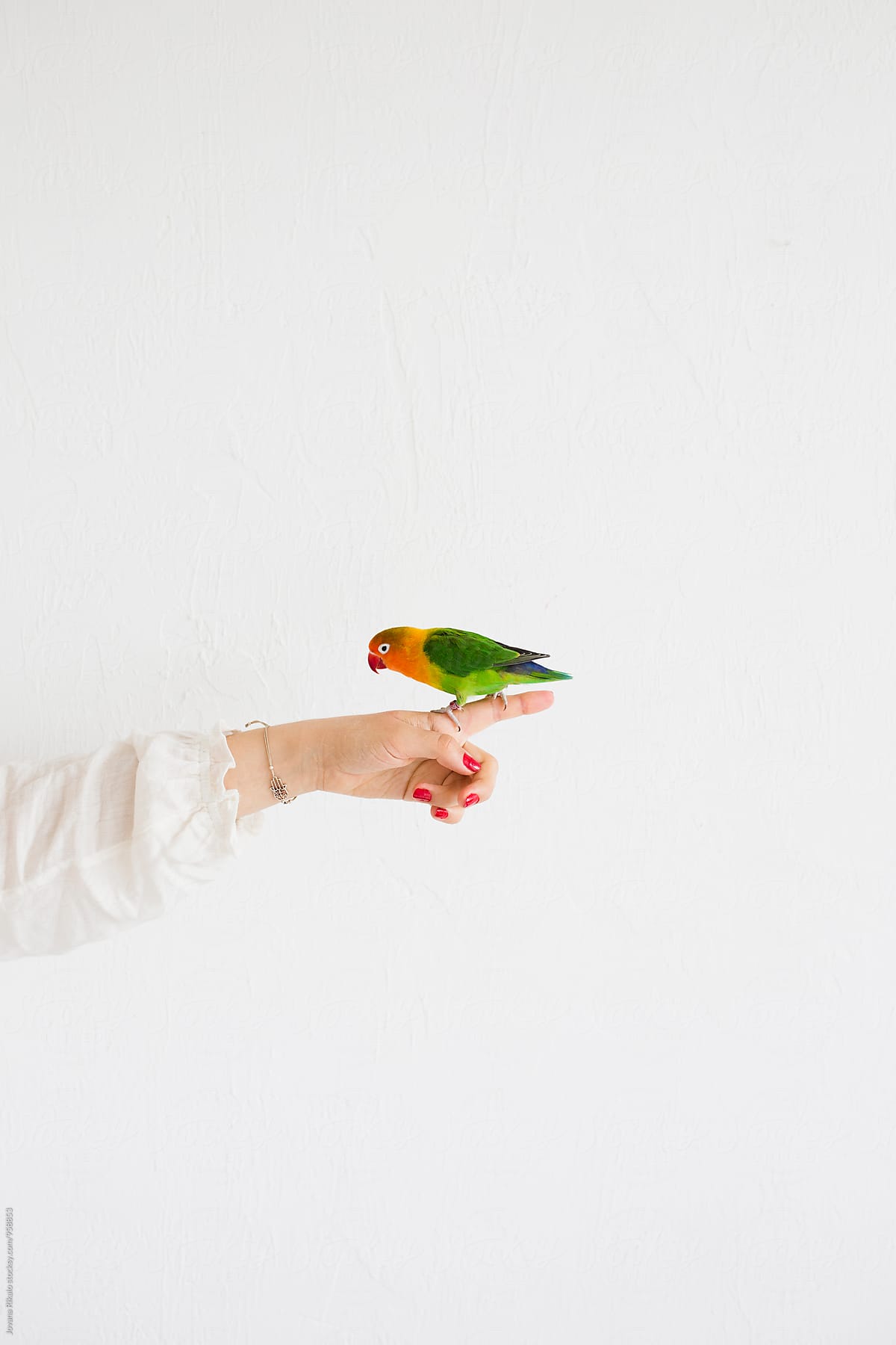 "Parrot Standing On Woman's Finger" by Stocksy Contributor "Jovana ...