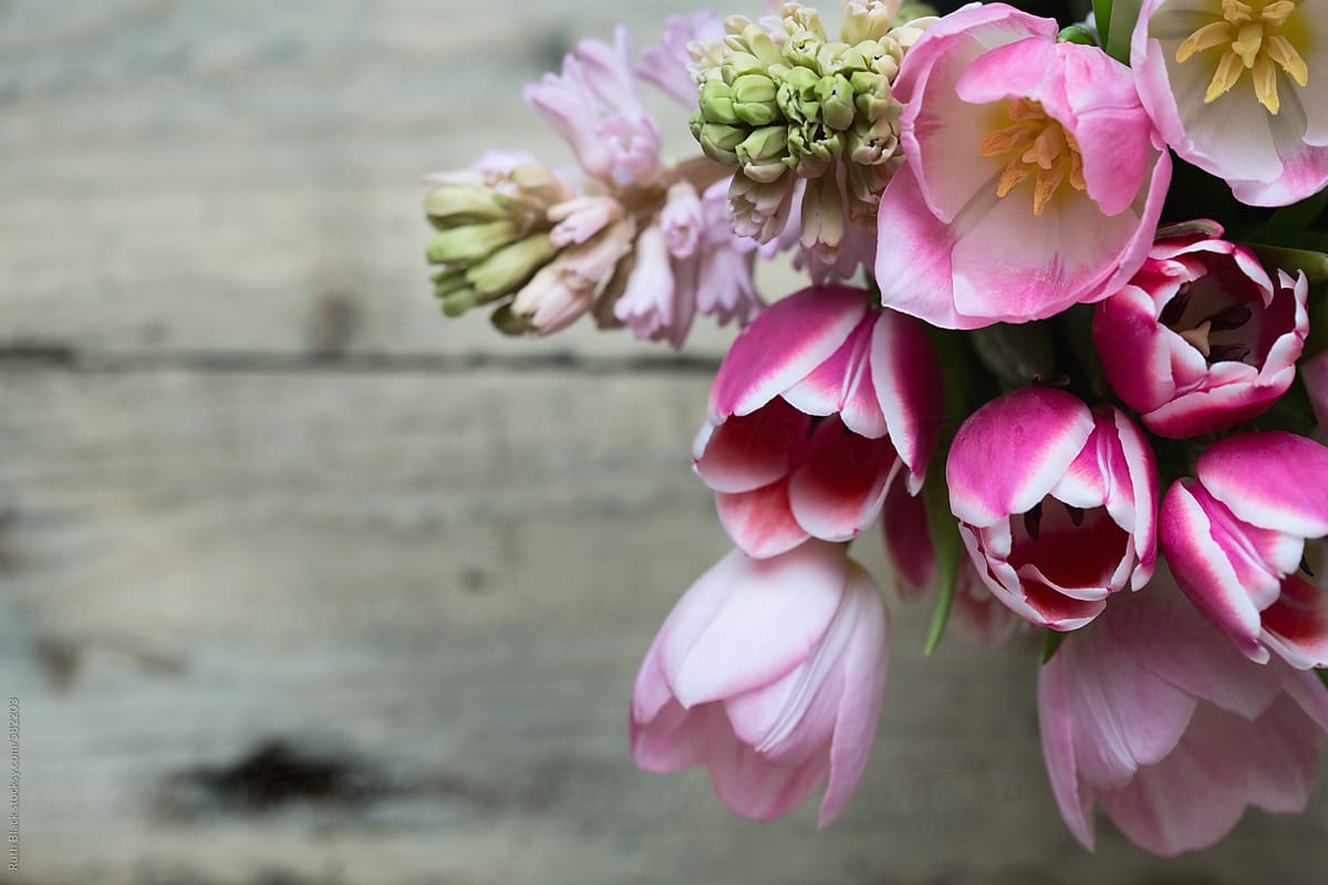 "Spring Flowers Overhead View" by Stocksy Contributor "Ruth Black ...