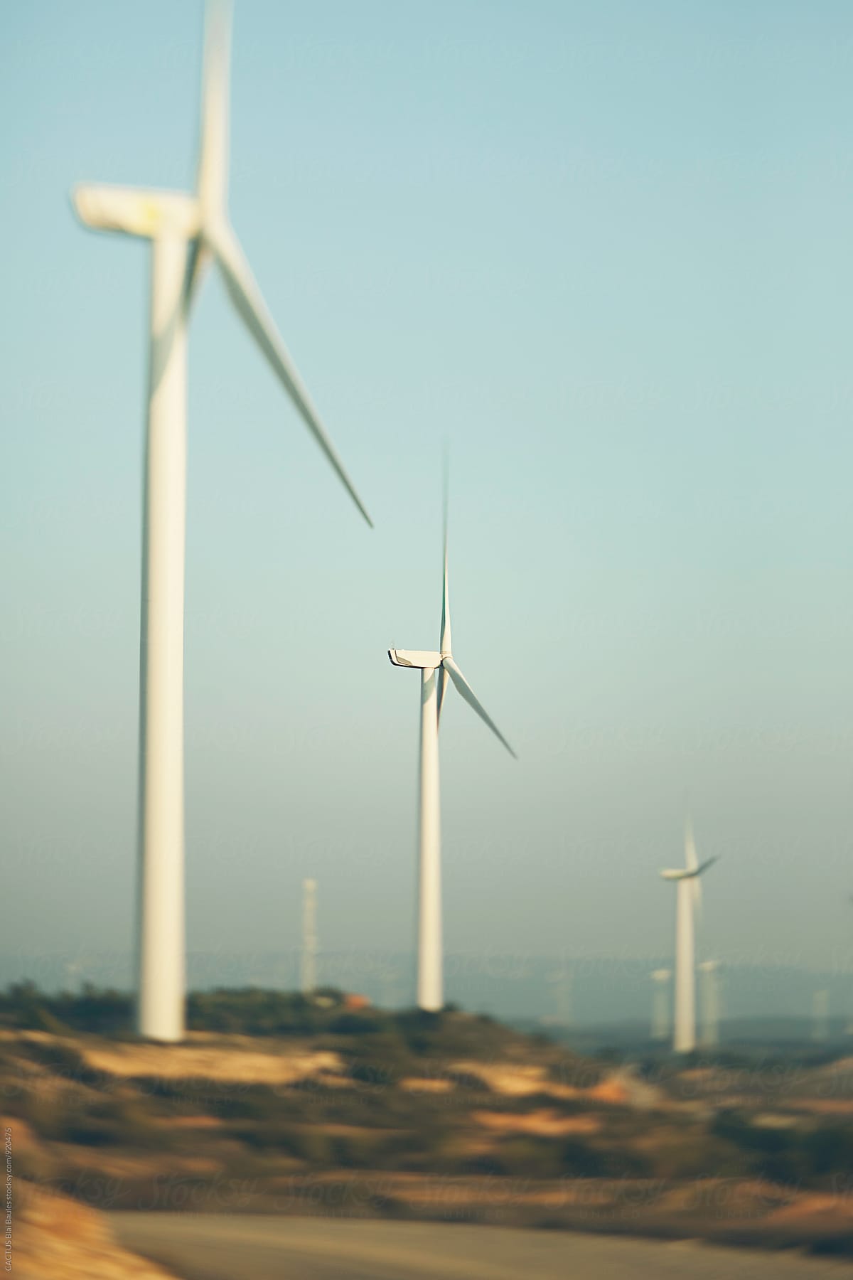 "Windmill" by Stocksy Contributor "CACTUS Creative Studio" - Stocksy