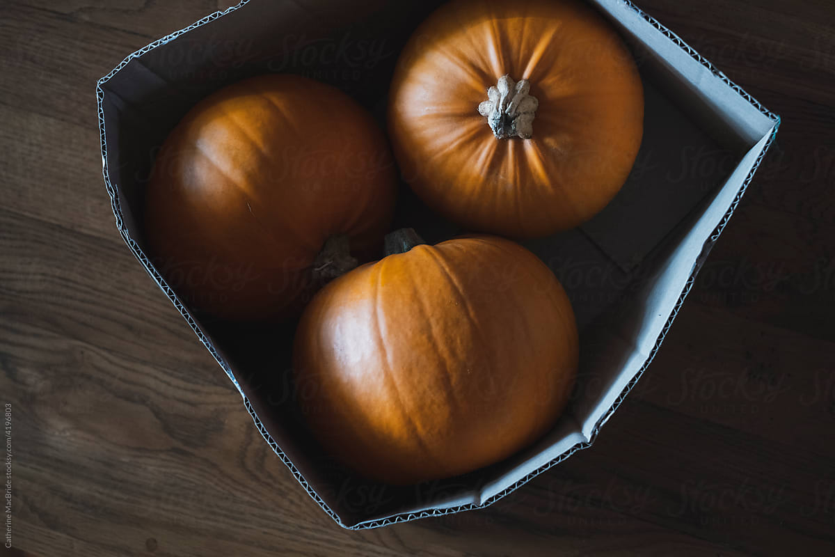 "Three Pumpkins In A Cardboard Box" by Stocksy Contributor "Catherine ...