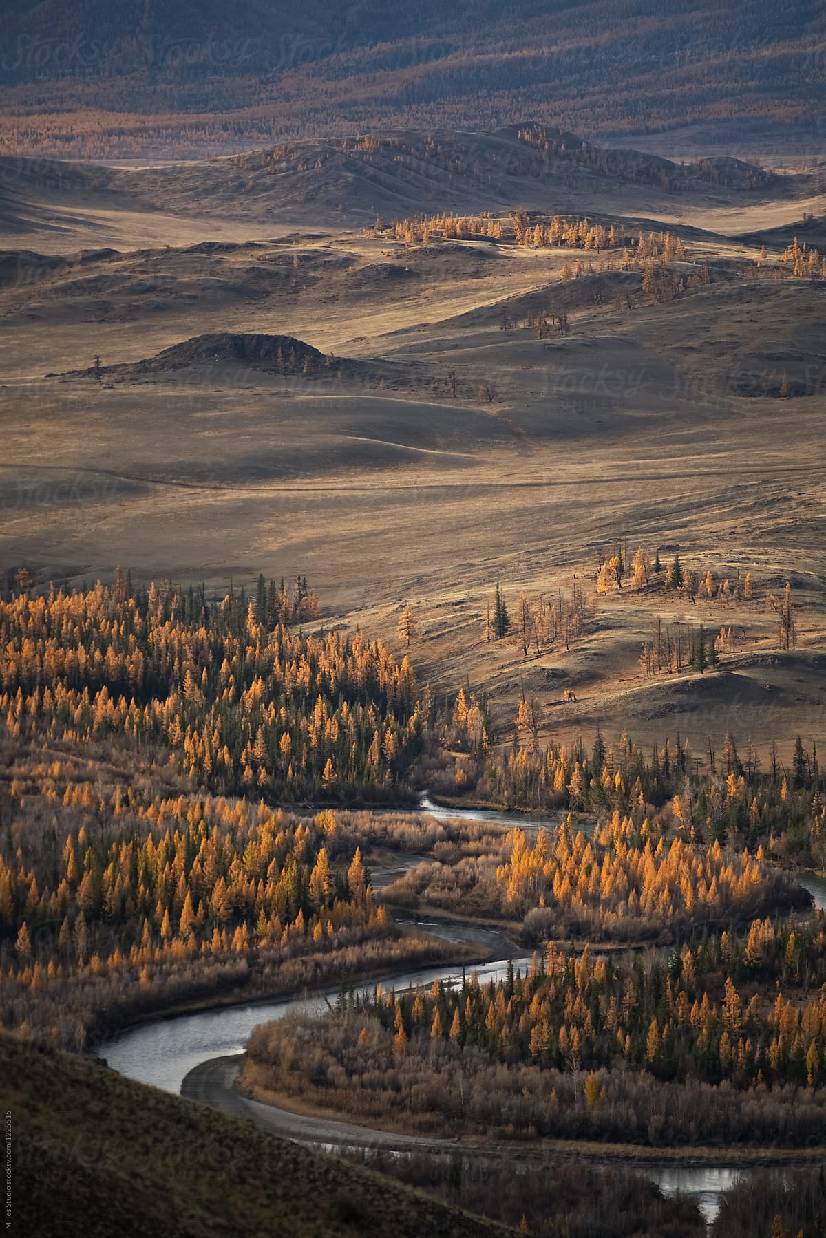 "River In Valley" by Stocksy Contributor "Milles Studio" - Stocksy