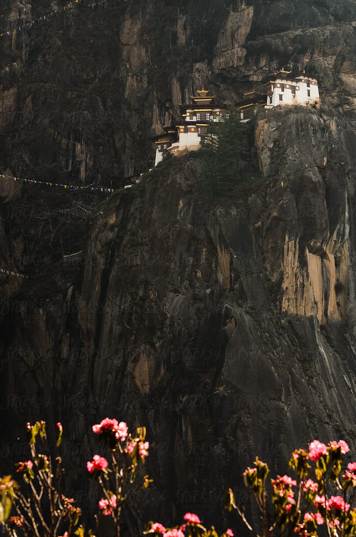 "Taktshang Tigers Nest Monastery , Bhutan." by Stocksy Contributor ...