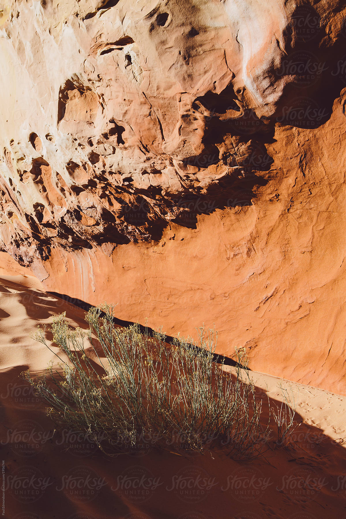 "Detail Of Navajo Sandstone Rock Formation In White Pocket" by Stocksy ...