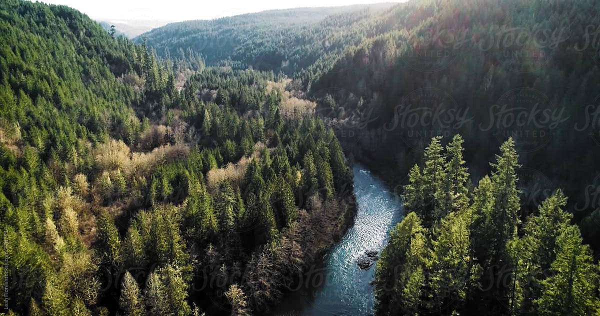 "Forested River In Pacific Northwest Valley, 4K Drone" by Stocksy ...