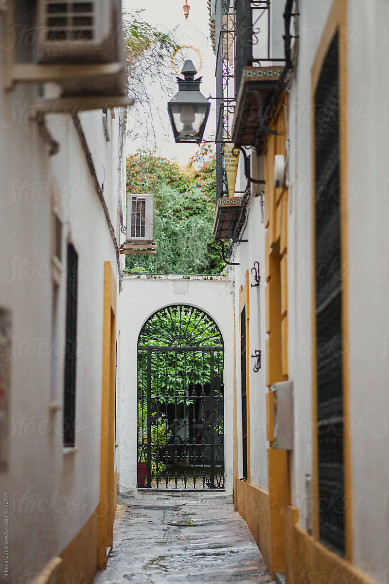 "A Narrow Cobblestone Alleyway Leading To A Wrought Iron Gate" by ...