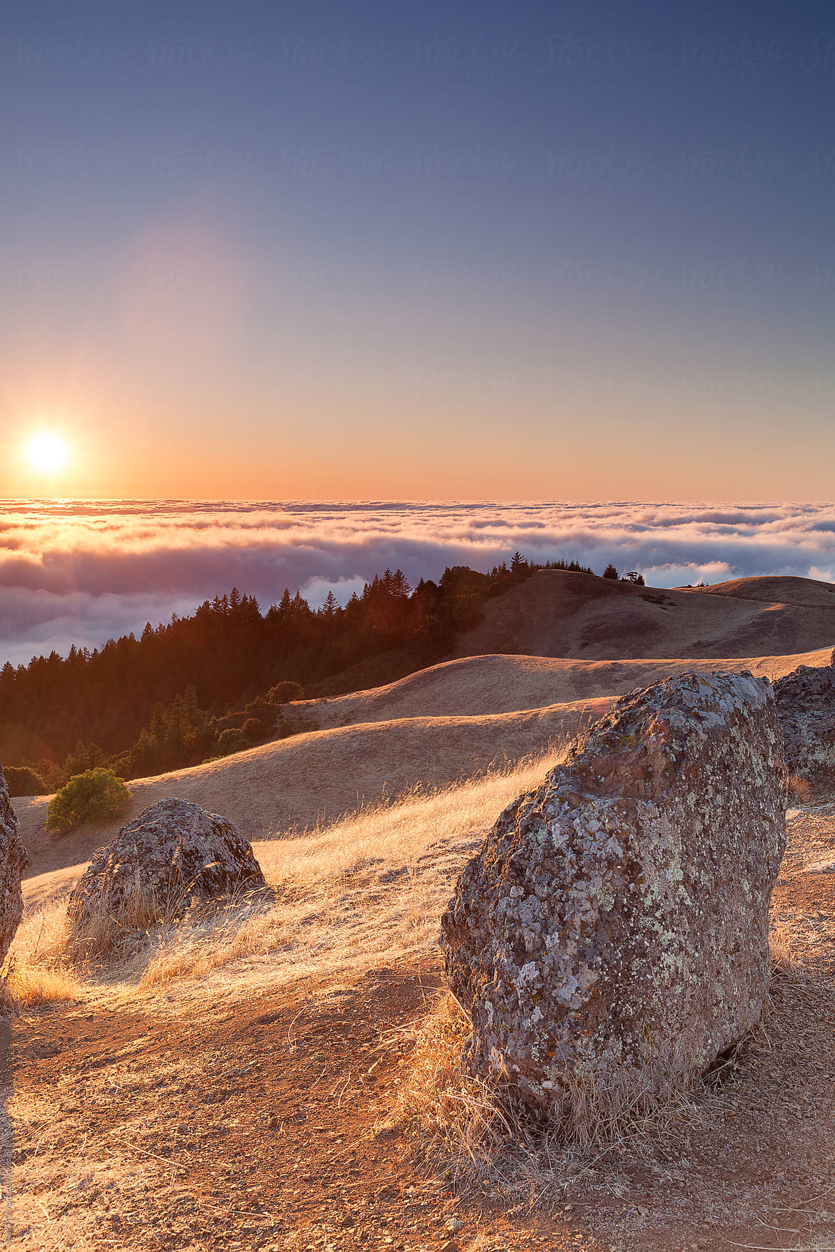 "Marin County Hills" by Stocksy Contributor "Neal Pritchard" - Stocksy