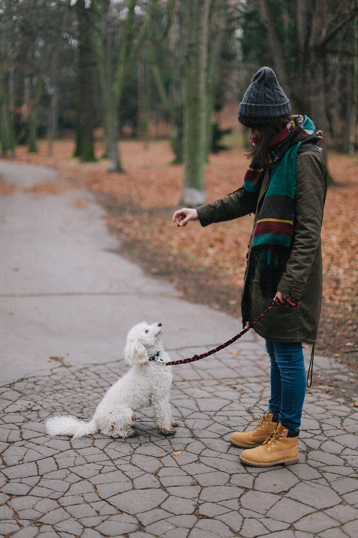 "Woman Training Her Dog In The Park" by Stocksy Contributor "Marija ...