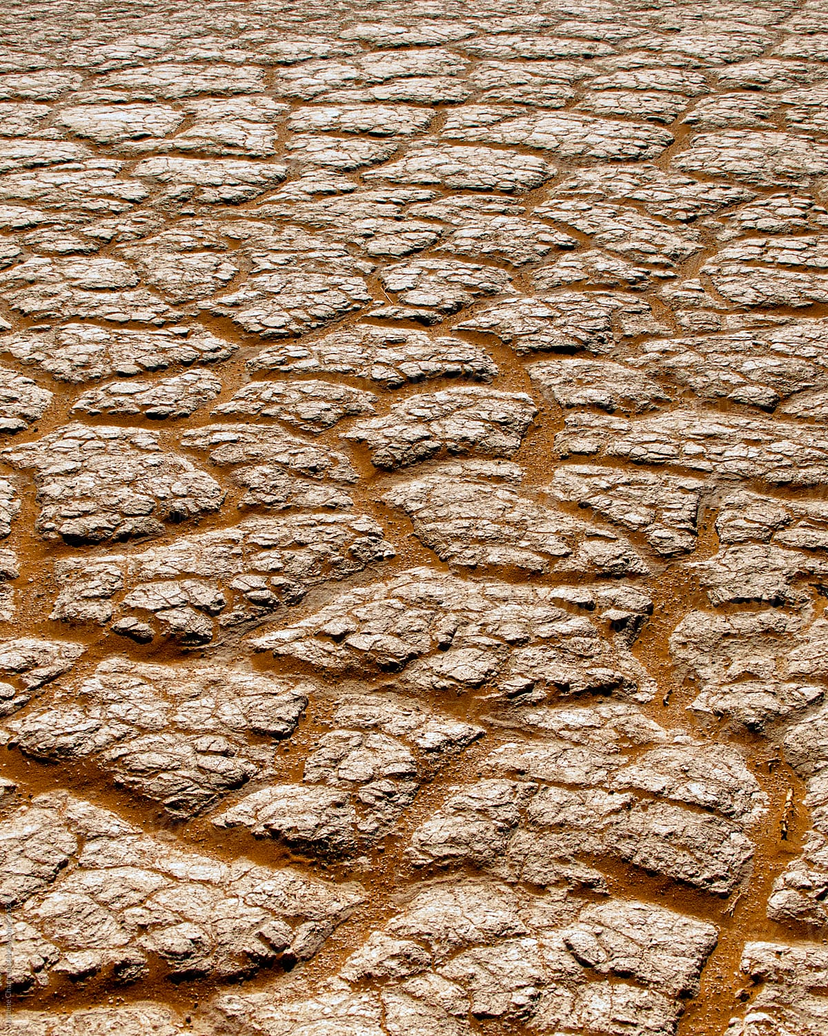 "Dead Forest And Orange Sand Dunes, Sossusvlei, Namib-Naukluft Park ...