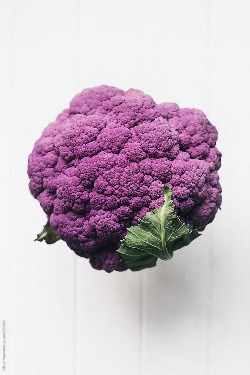 "Purple Cauliflower" by Stocksy Contributor "Gillian Vann" - Stocksy