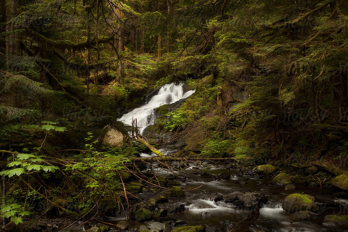 "Pacific Northwest Waterfall" by Stocksy Contributor "Ryan Matthew ...