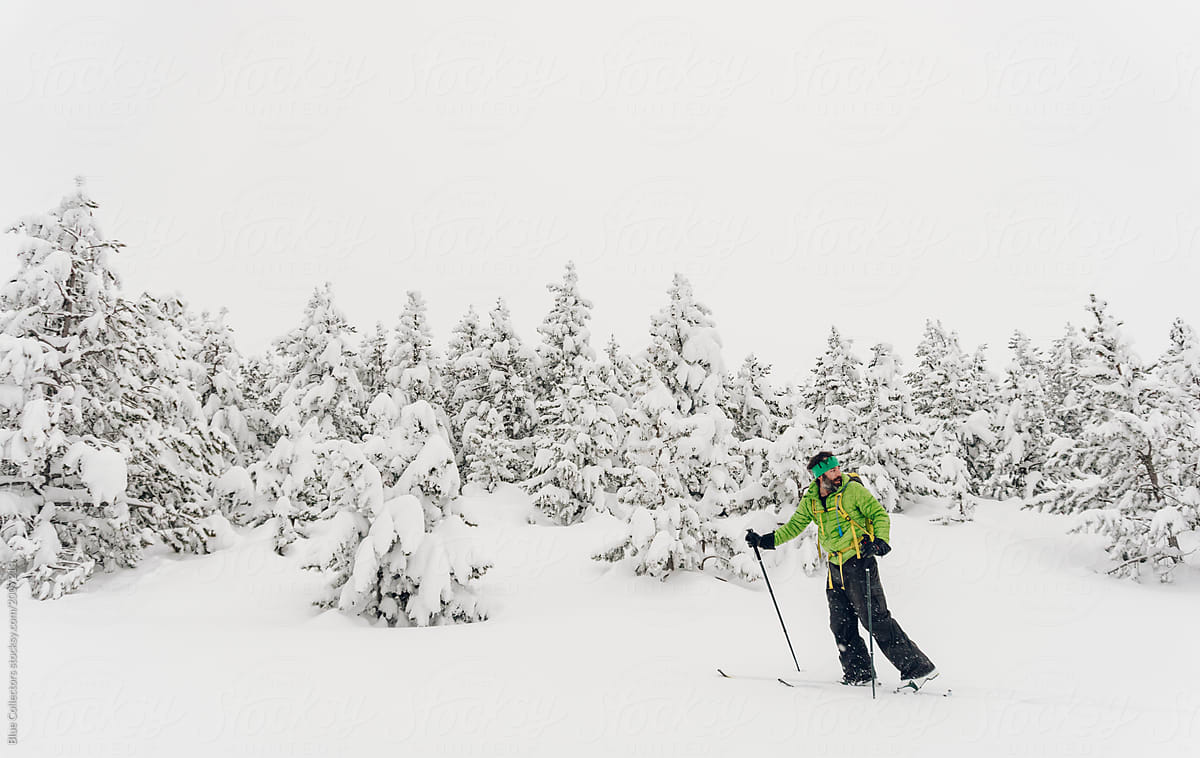 "Skier Ski Touring Through The Snowy Trees" by Stocksy Contributor ...