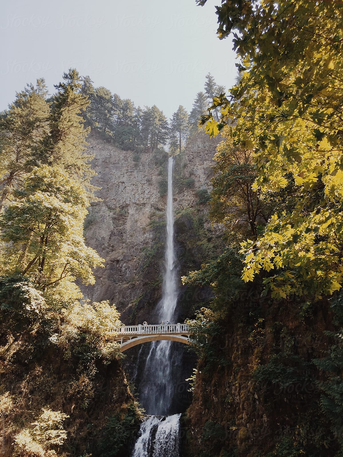 "Beautiful Waterfall In Oregon" by Stocksy Contributor "Branden Harvey ...