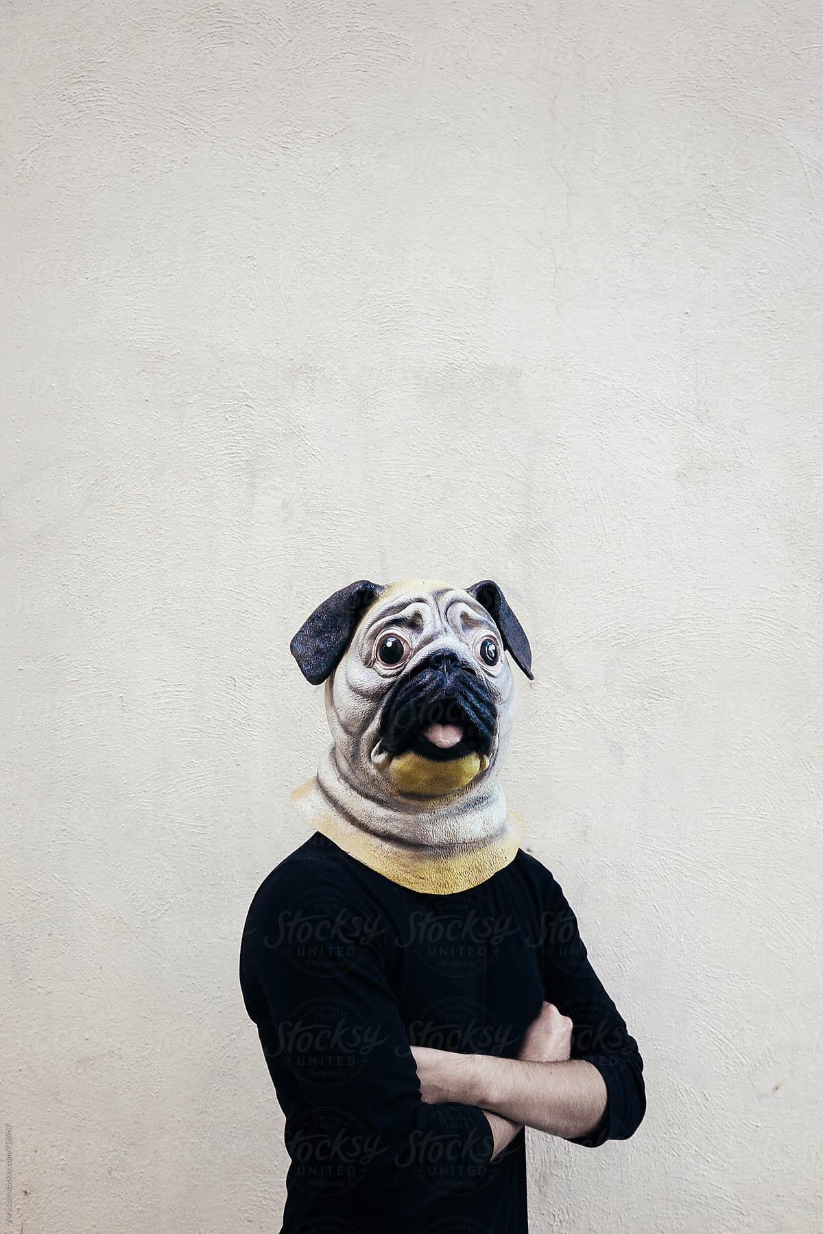 "A Man With A Dog Mask" by Stocksy Contributor "Vera Lair" - Stocksy