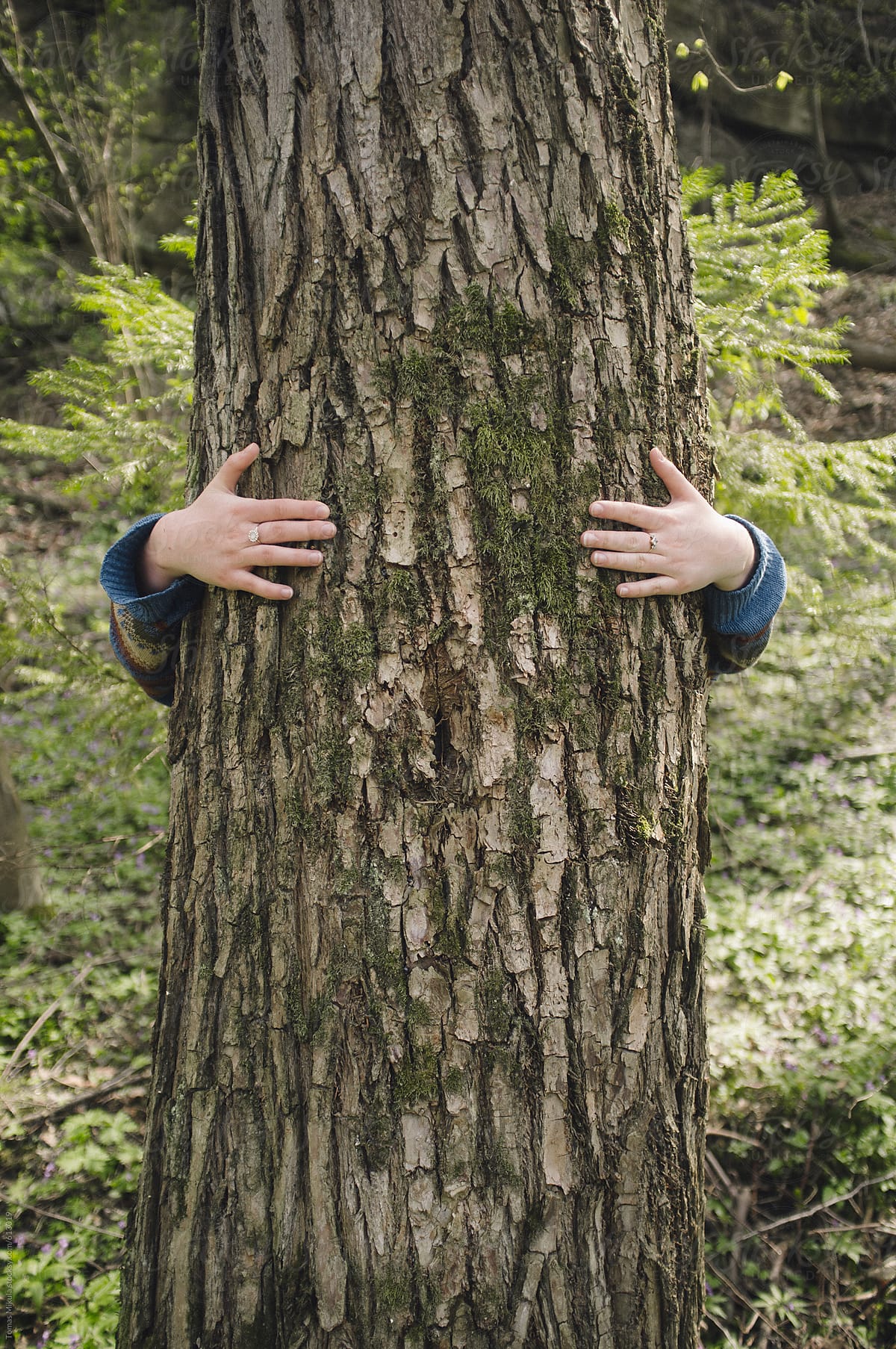 "Girl Hugging The Tree" by Stocksy Contributor "Tomas Mikula" - Stocksy