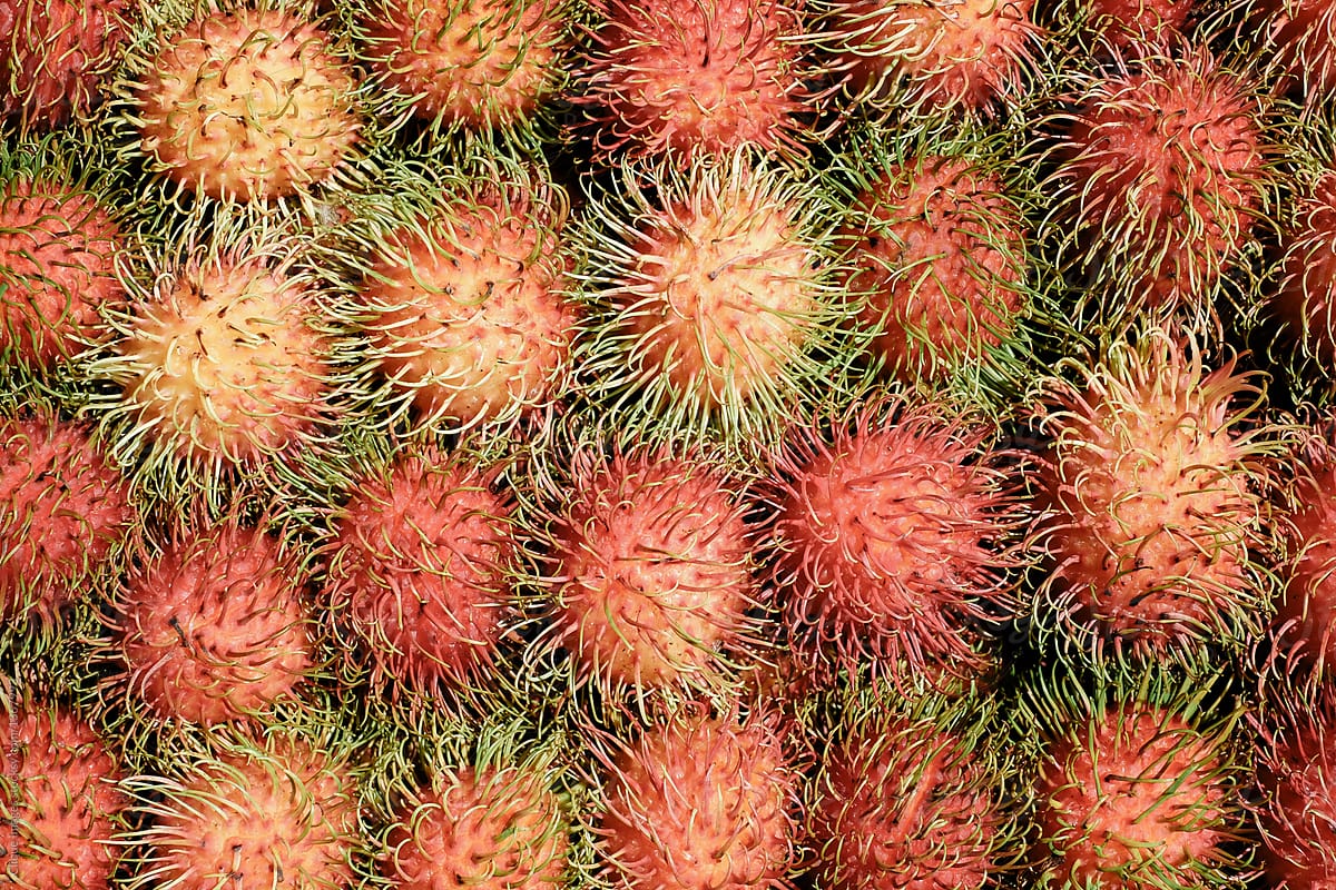 "Exotic Asian Fruit" by Stocksy Contributor "Clique Images" - Stocksy