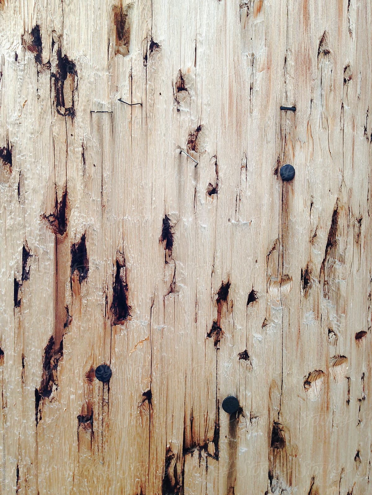"Close Up Telephone Pole" by Stocksy Contributor "Rialto Images" - Stocksy