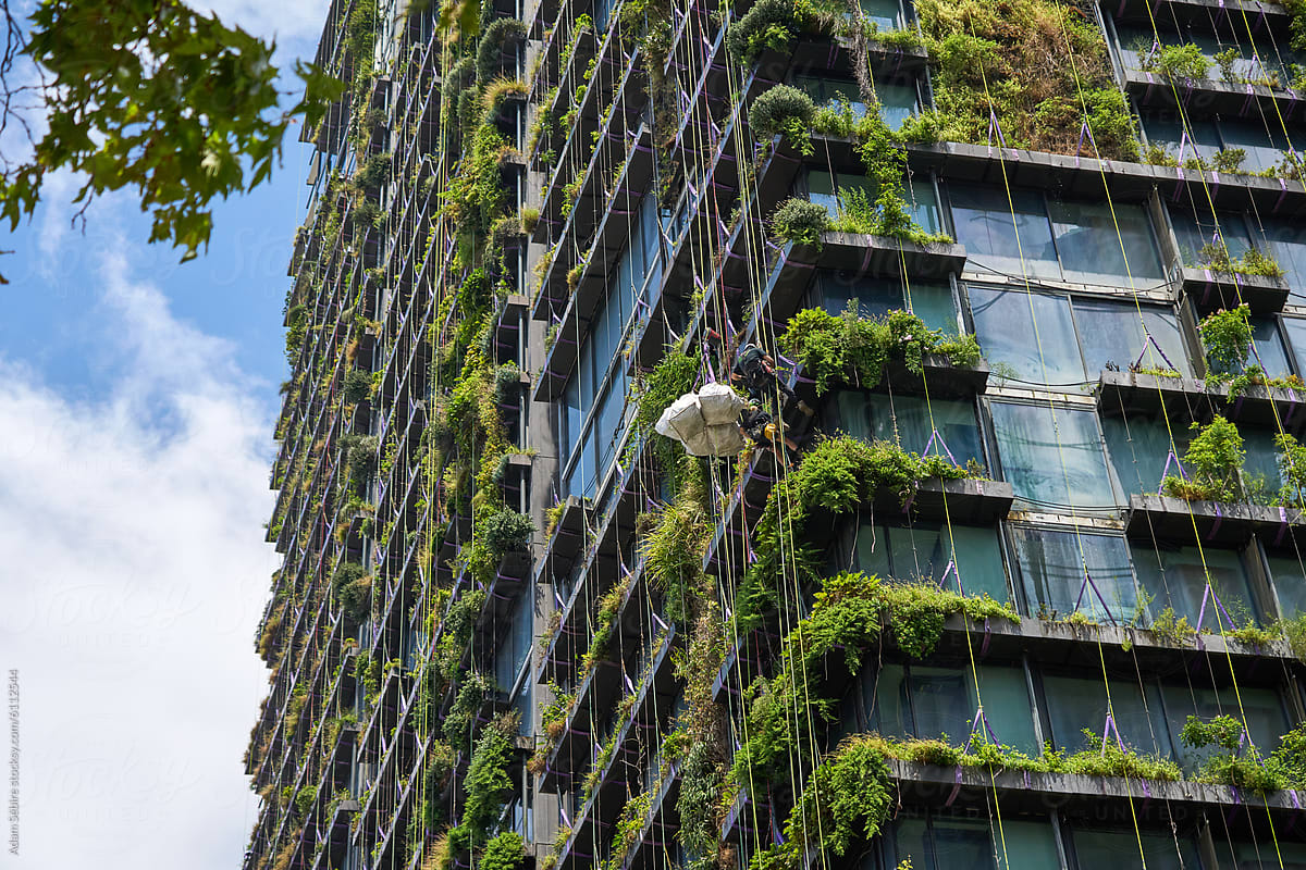 Vertical Garden Apartment Building Gardening By Abseiling A Vertical