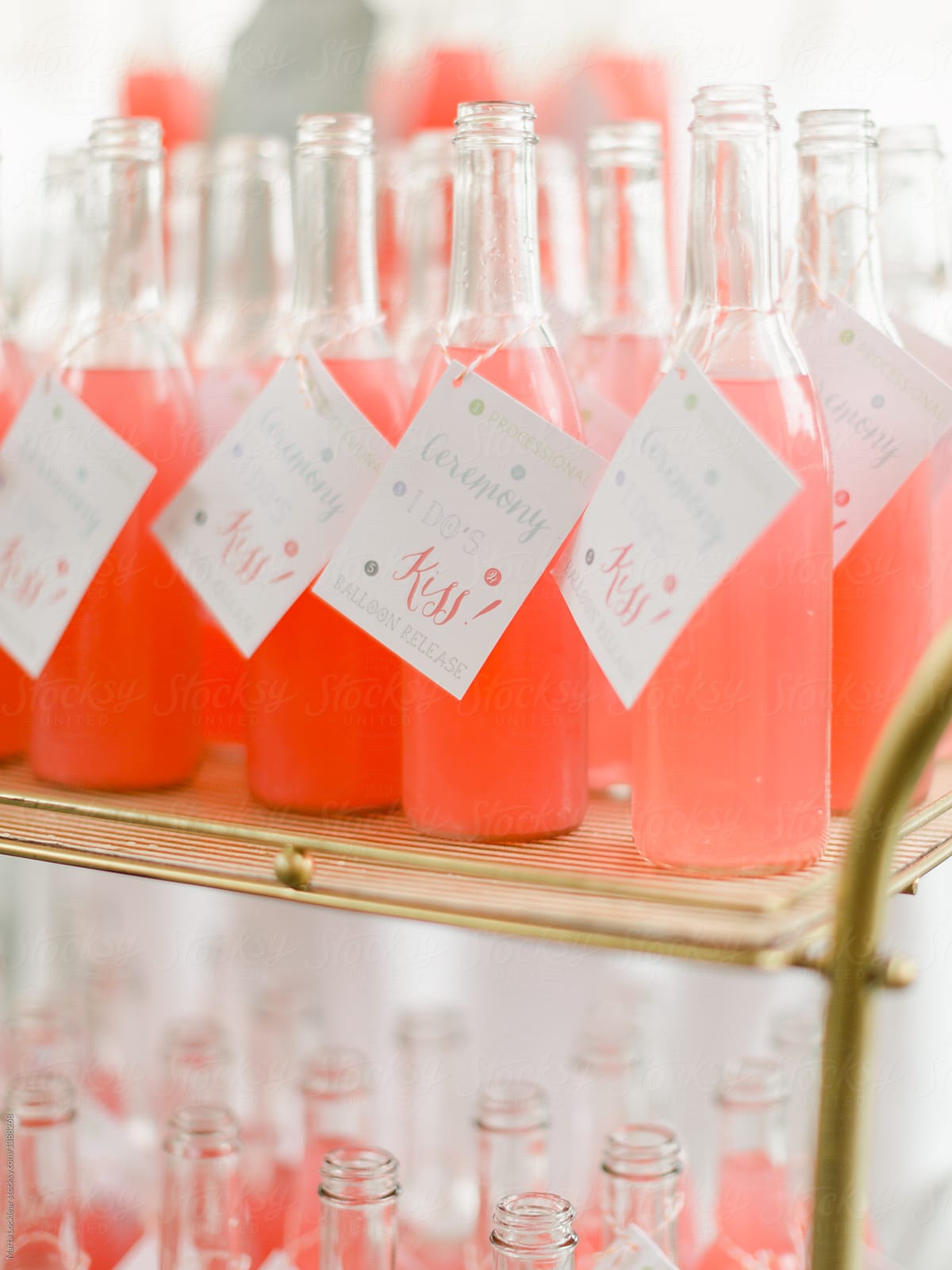 "Coral Pop" by Stocksy Contributor "Marta Locklear" - Stocksy