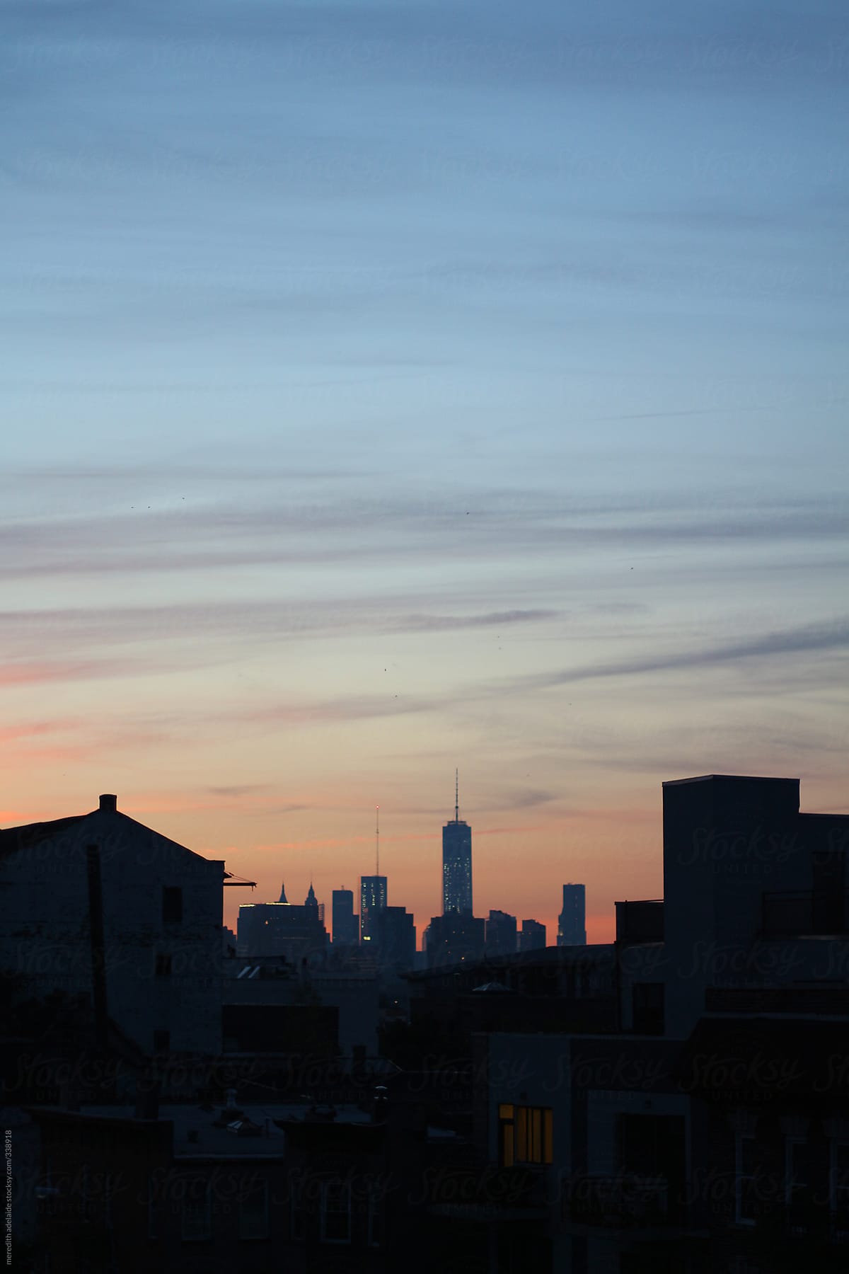 "Brooklyn Skyline At Night" by Stocksy Contributor "meredith adelaide ...