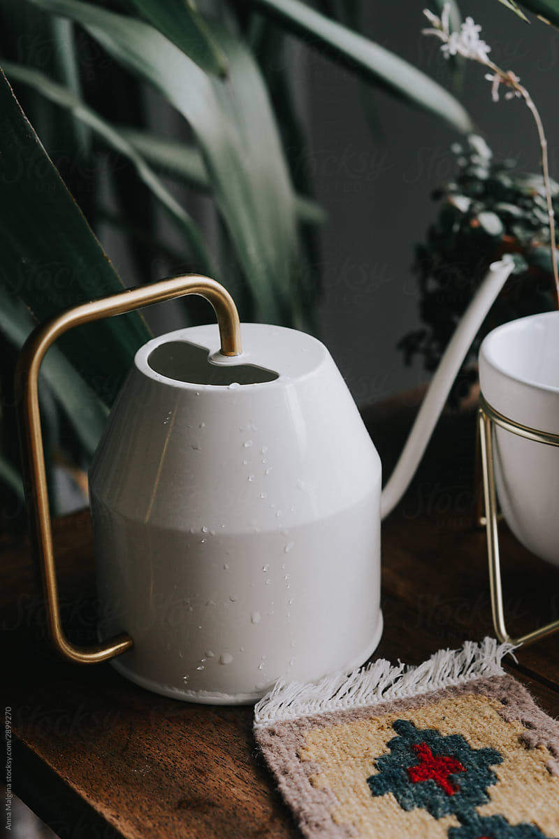 "A Beautiful Watering Can On A Table" by Stocksy Contributor "Anna ...