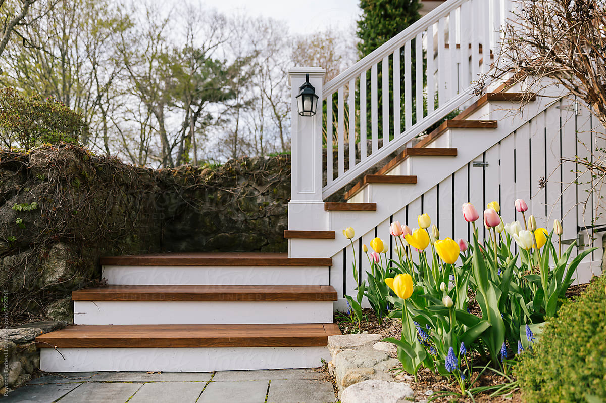 "Tulip Flowers In Spring Garden At House" by Stocksy Contributor ...