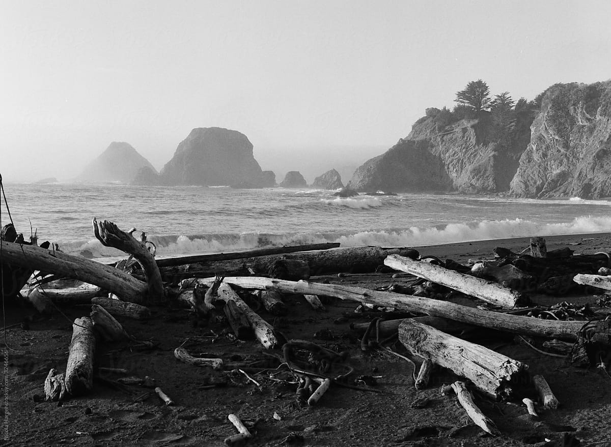 "Driftwood On Rocky Beach On Film" by Stocksy Contributor "Nicola ...