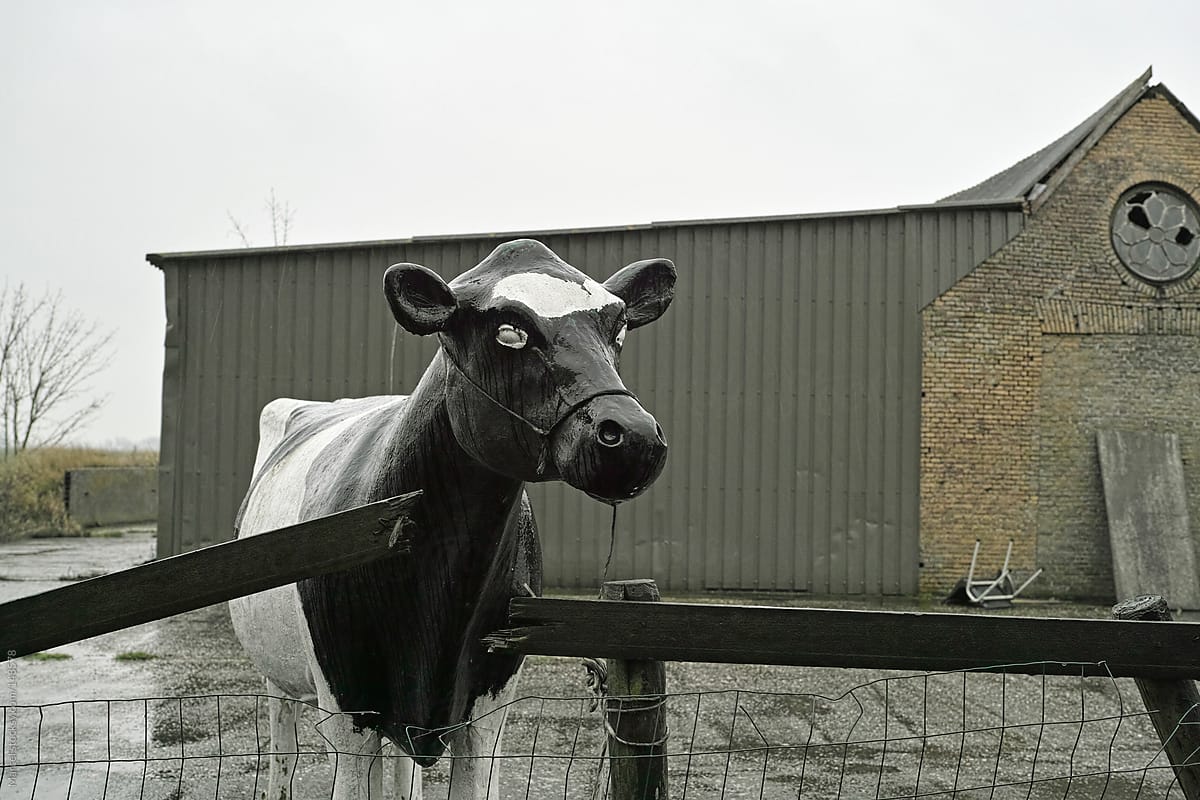 "Plastic Cow" by Stocksy Contributor "Marcel" - Stocksy