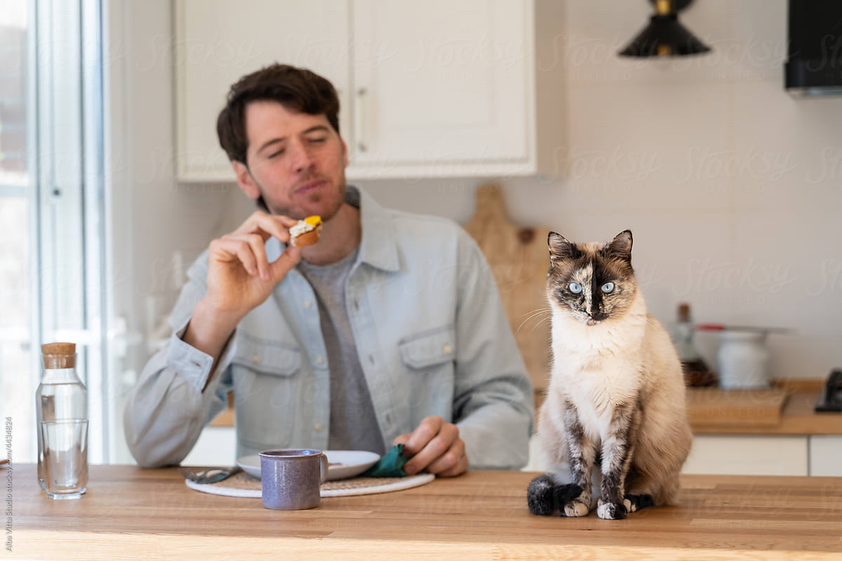 "Happy Man Having Breakfast And Playing With Cat" by Stocksy ...